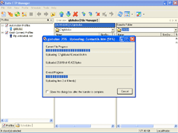 Auto FTP Manager - FTP client, FTP server, Schedule file transfers